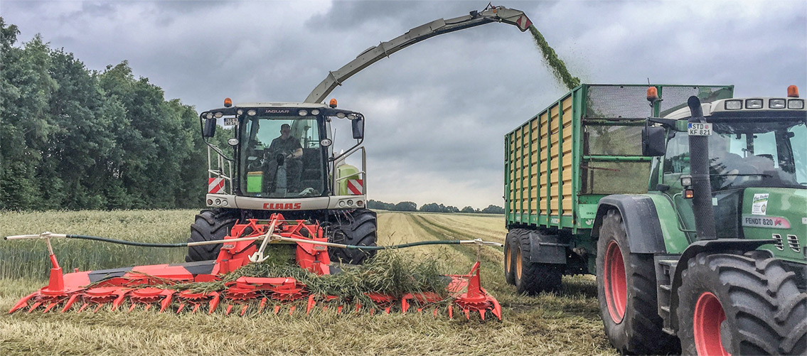 fitschen-agrar.de - GPS - Ganz Pflanzen Silage