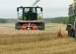 fitschen-agrar.de - GPS - Ganz Pflanzen Silage